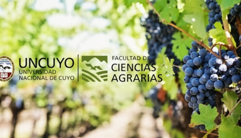 Enoturismo e innovación: la UNCuyo lanza una nueva Diplomatura para ...